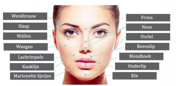 Hyaluronzuur - Birgit Muylle